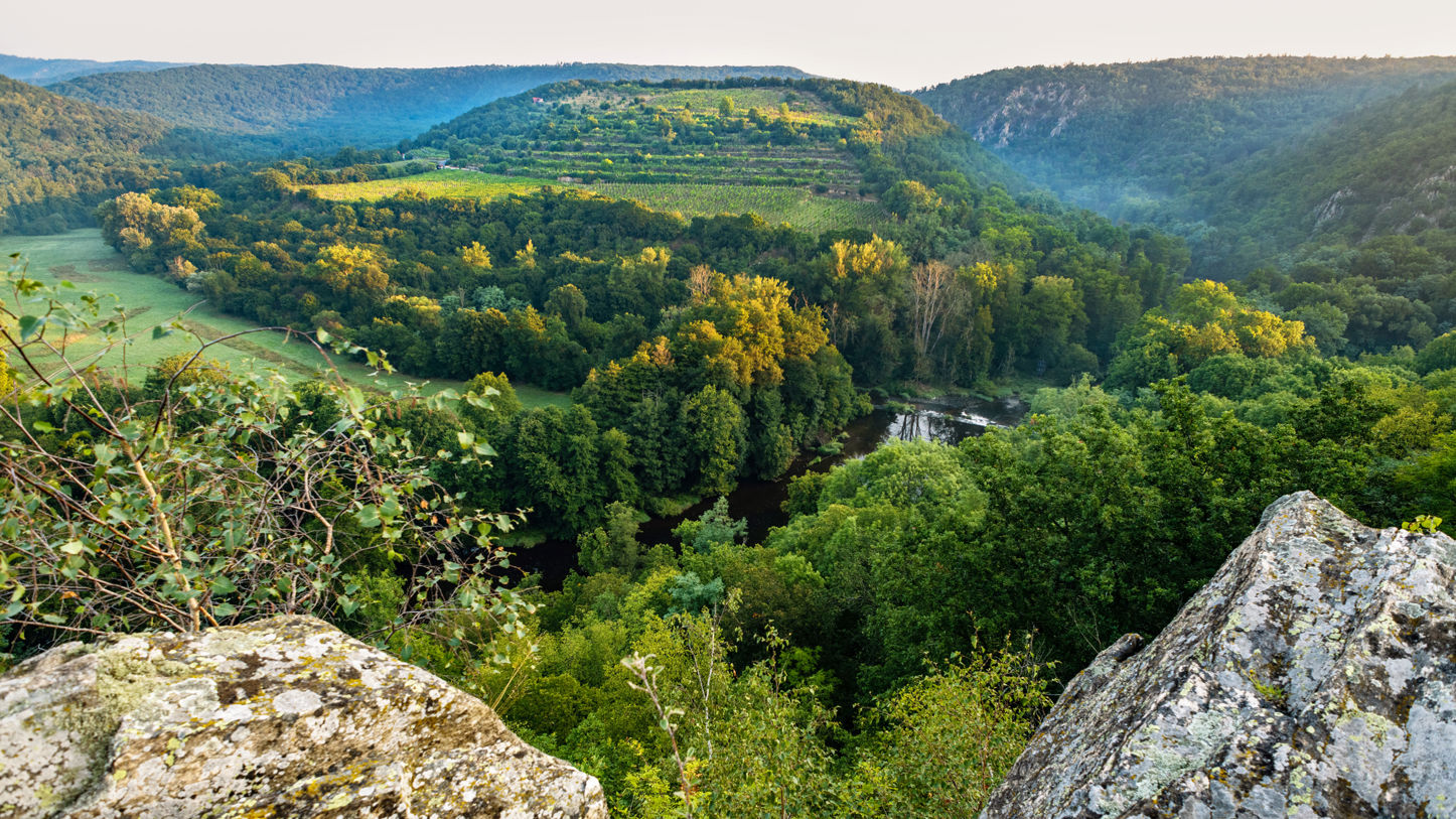 Viniční trať Šobes | ZNOVÍN - Vína hrdá na svůj původ